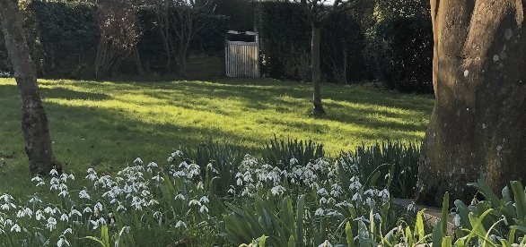 gibberd-garden – Be inspired by nature