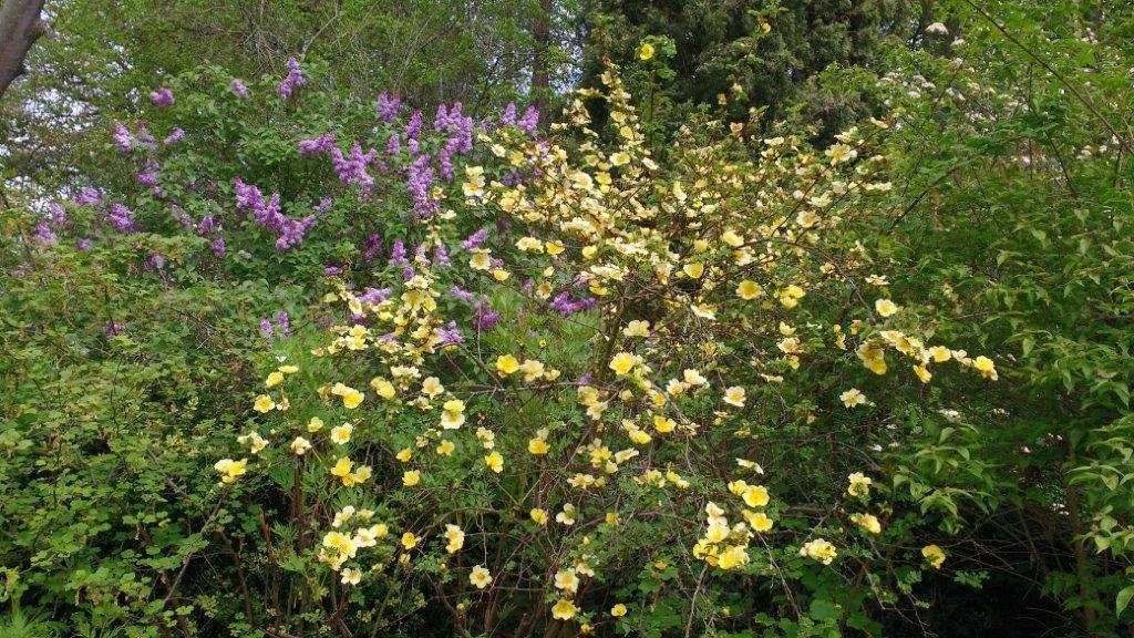gibberd-garden – Be inspired by nature